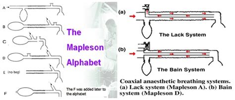 Online Medical Mcqs Mcqs For Medical Pg Preparation Mcqs For Medical Subjects Maplesons
