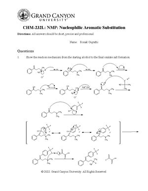 PHY111L Lab 4 Projectile Motion RG Lab 4 Projectile Motion Testable Question How Is The