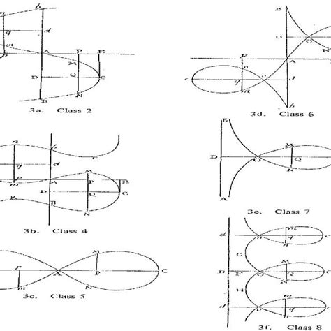 Euler Elastic Classes Download Scientific Diagram