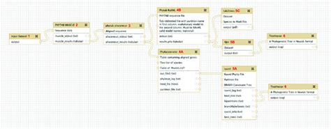 Workflow Here We Show A Workflow Constructed In Galaxys Workflow
