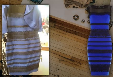 파검 흰금 드레스 오피셜은 파검임 치지직 에펨코리아