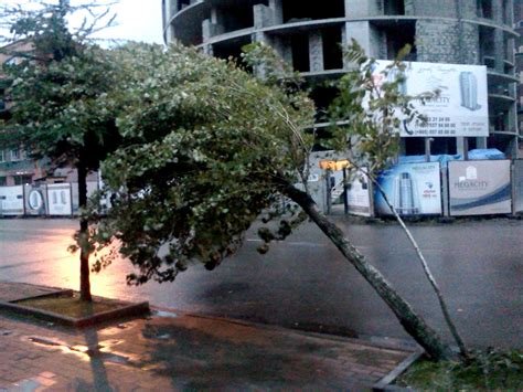 ბათუმის სანაპირო ფოტო Batumelebi • სტიქია • Batumelebi Ge