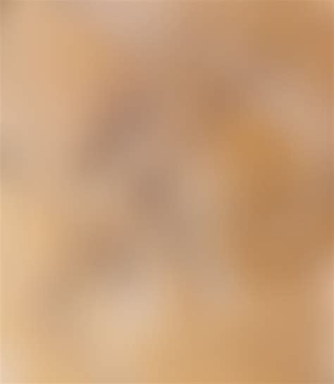 Archaeopteryx The Transitional Fossil R Sciences