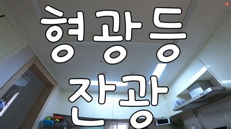 질의회신 형광등 잔광 해결방법 Led전등 교체 콘덴서 설치 형광등 깜빡거림 형광등 문제 형광등 플리커 Youtube