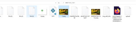 流量分析模块 攻防世界 misc wireshark 《ctf 刷题总结》 极客文档