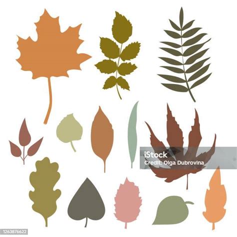 다양한 나무의 나뭇잎으로 만든 디자인의 다채로운 가을 요소 세트 흰색 배경에 격리 간단한 만화 플랫 스타일 0명에 대한 스톡 벡터 아트 및 기타 이미지 Istock