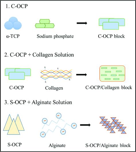 Schematic Images Showing The Manufacturing Process Of 1c Ocp Download Scientific Diagram