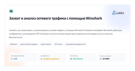 Захват и анализ сетевого трафика с помощью Wireshark Labex