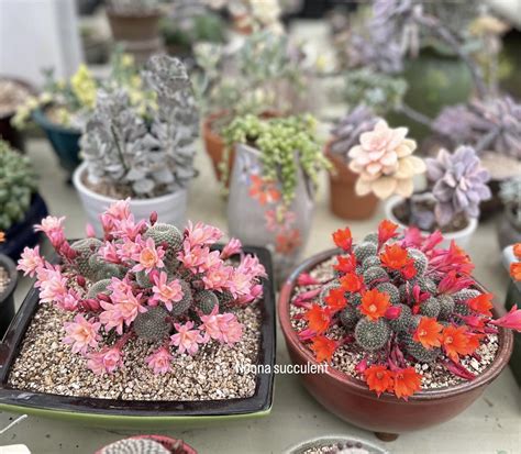 Saph Saph Added A New Photo