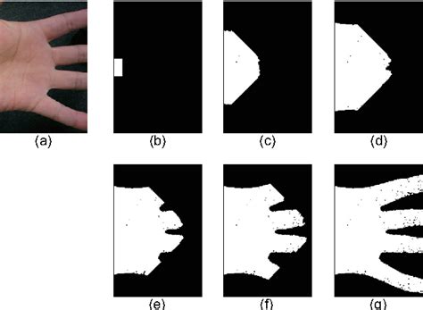 Figure 1 From A Contactless Palmprint Recognition Algorithm For Mobile