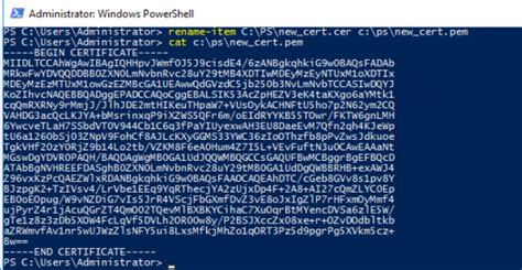 Converting Certificates From Crt To Pem Format Theitbros