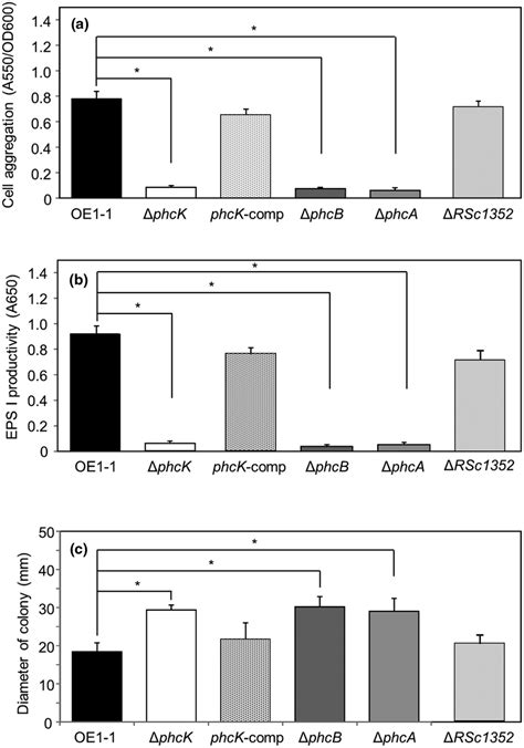 Cell Aggregation A Major Extracellular Polysaccharide Eps I Download Scientific Diagram