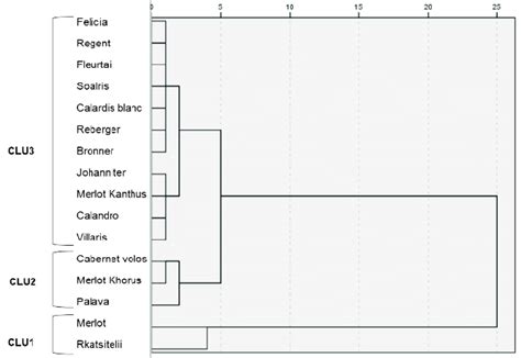 dendrogram resulting from a hierarchical cluster analysis of the values
