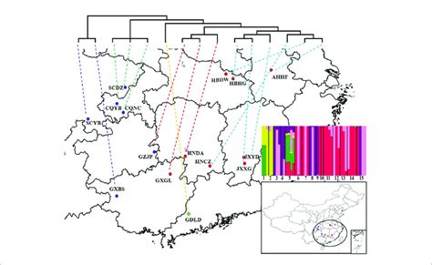 The Locations Of Sampling Specimens Of Dendrolimus Punctatus A