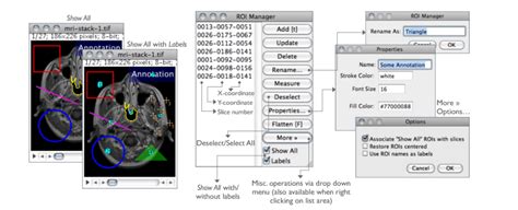 Analyze And Process Your Images In Seconds With ImageJ Enago Academy