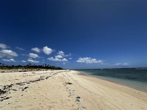Tonga Beaches 17 24102023 Departure99