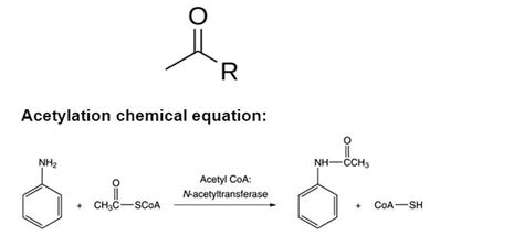 Deacetylation Reaction