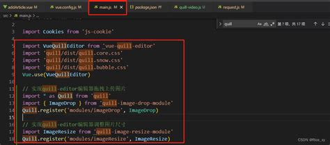 vue quill editor显示文本、图片、视频，踩过的坑，比如register错，imports的错，还有module 9的错 vue