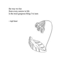 ੈ ‧₊˚༄ Rupi Kaur Rupi Kaur Quotes Daily Inspiration Quotes