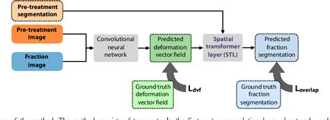 Figure 2 From Fast Contour Propagation For Mr‐guided Prostate Radiotherapy Using Convolutional