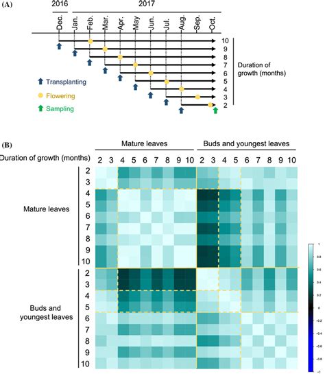 Transcriptome Correlations Pearson Correlation Coefficient Of Mature