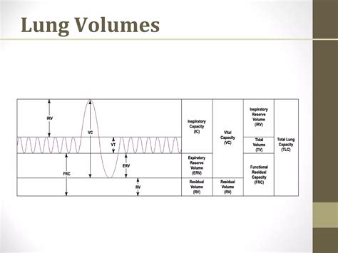 Lung Function Tests Ppt