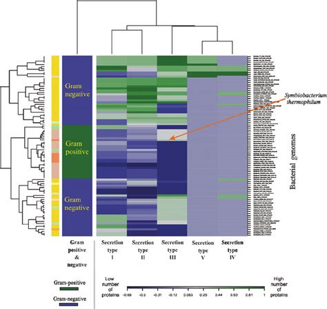 Two Dimensional Clustering Willenbrock Et Al 2005 Of Bacterial