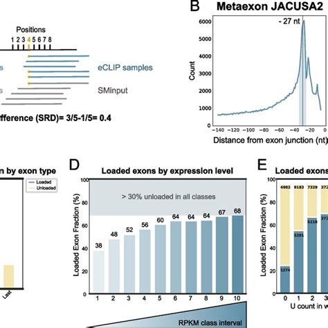 Eclip Data Analysis With Jacusa2 A Schematic Representation Of The