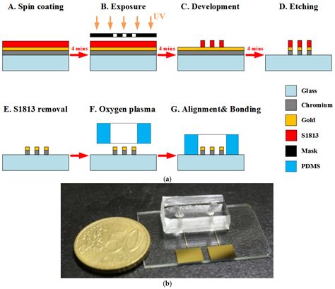 Reactance And Capacitance Sensing Platform For Detecting Microorganisms At Kevin Tejeda Blog