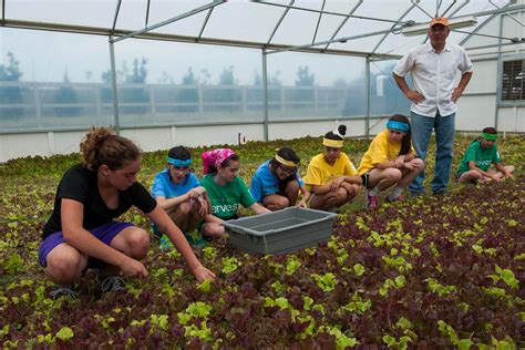 What Is Community Supported Agriculture Csa Harvest By Hillwood