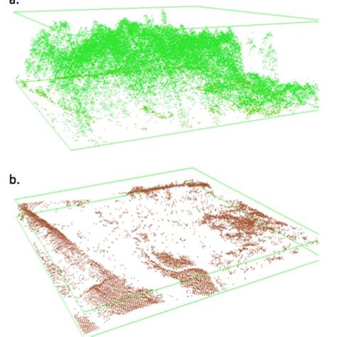 point cloud data are classified as a vegetation and b ground points