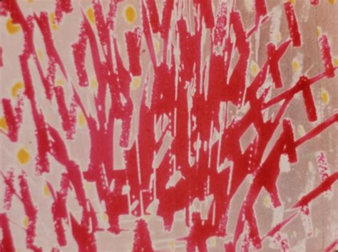 Projection Series 1 Len Lyes Colour Box Govett Brewster Art