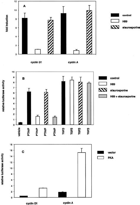 Pka Signaling Is Required For Induction Of Gene Expression By Mutant