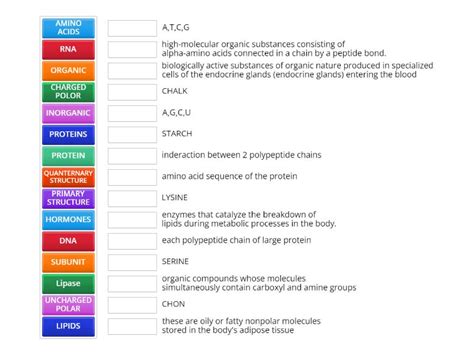 Structure Biochemistry Match Up