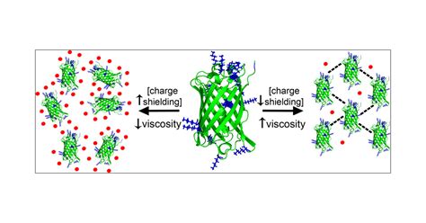 Charge Shielding Prevents Aggregation Of Supercharged Gfp Variants At