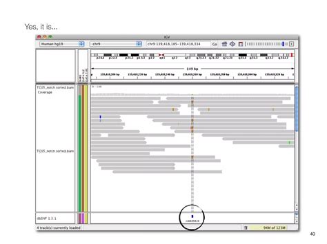 Next Generation Sequencing Course Part 2 Sequence Mapping Ppt
