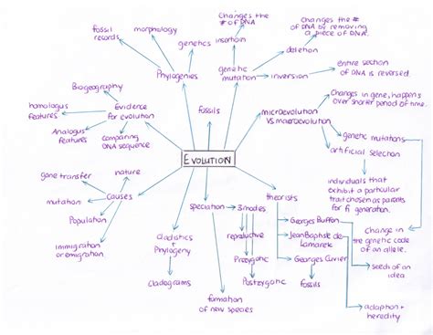 Biology Corner Evolution Concept Map At Yolanda Johnson Blog