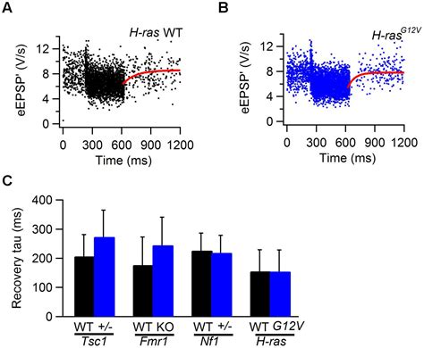 Frontiers In Vivo Synaptic Transmission And Morphology In Mouse Models Of Tuberous Sclerosis