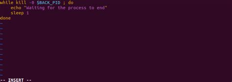 Linux Sleep Command With Examples Terminal And Bash