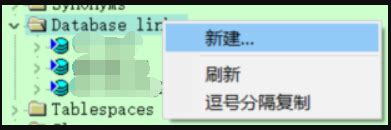 Oracle 跨库查询表数据不同的数据库间建立连接 癫狂编程 博客园