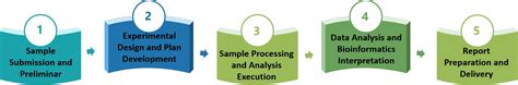 Mass Spectrometry Based Service Mtoz Biolabs