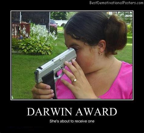 Adventures Of Capn Aux The Darwin Awards—aviation Style