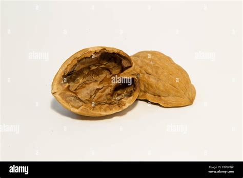 Nuts With Shell And Without Stock Photo Alamy