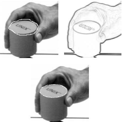 Illustration Of The Wd Constraint Clock Wise From Top Left A
