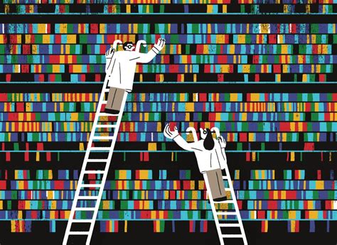 De Novo Genome Assembly With Flye