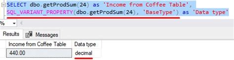 How To Get The Data Type Of A Return Value In SQL Server
