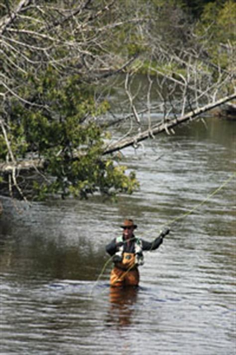 Twelve Classic Trout Streams In Michigan