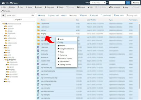 How To Create A Wordpress Staging Site With Cpanel Ironbark Marketing