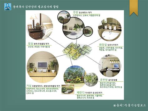 꽃을 심는 손 버리는 물건들로도 충분히 예쁜 가든 박스를 만들 수 있다 재활용품과 일상 소품을
