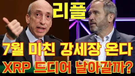 리플 Xrp 7월 미친 강세장 온다 Xrp 드디어 날아갈까 Youtube